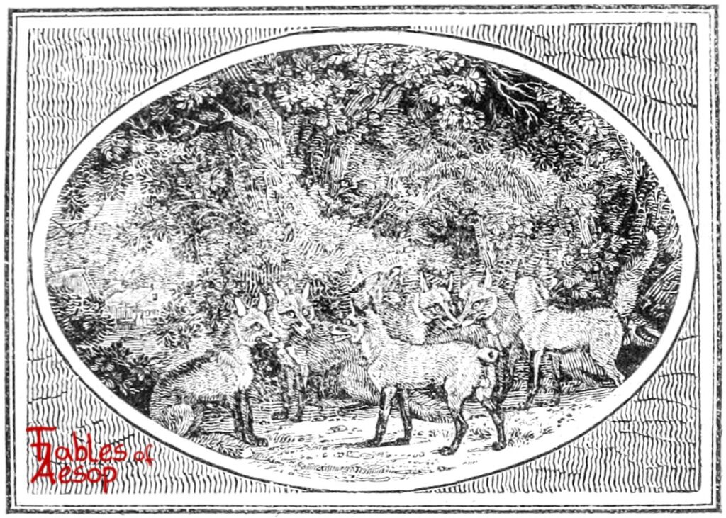 The Fox Who Lost His Tail - Fables of Aesop