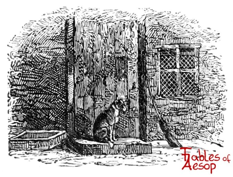 The Fox Who Lost His Tail - Fables of Aesop