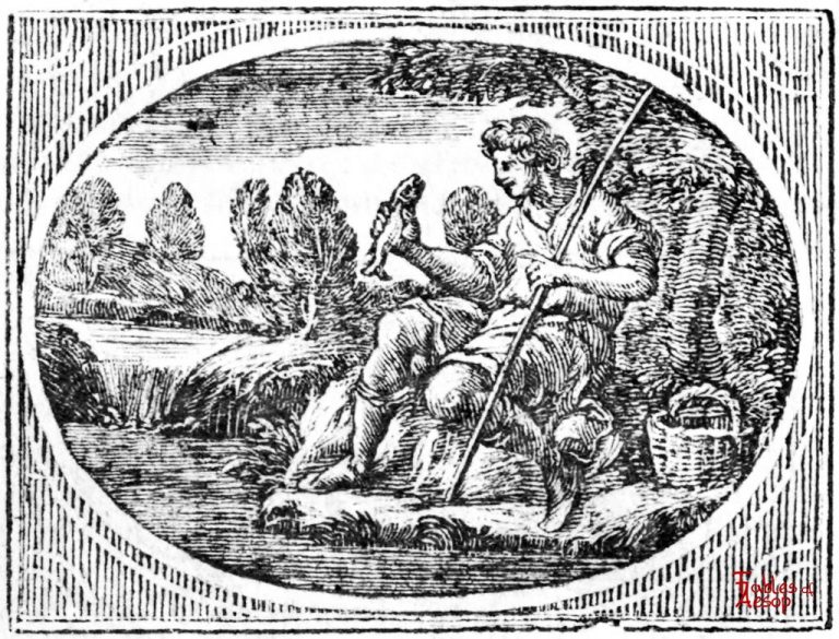 The Fisherman and The Little Fish - Fables of Aesop
