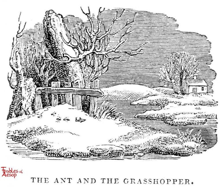 The Ant and The Grasshopper - Fables of Aesop