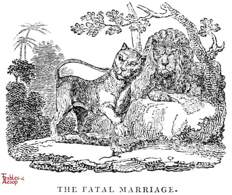 The Married Mouse - Fables of Aesop