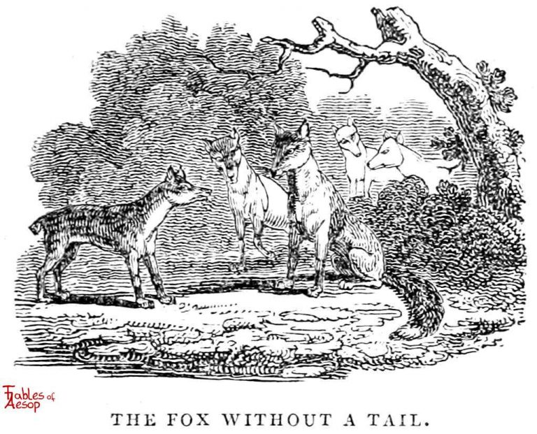 The Fox Who Lost His Tail - Fables of Aesop