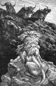 The Four Oxen and The Lion - Fables of Aesop