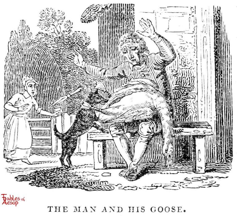 The Goose With The Golden Eggs - Fables of Aesop