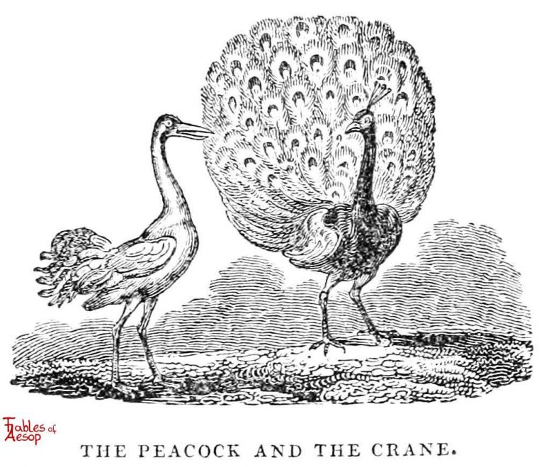 The Peacock and The Crane - Fables of Aesop