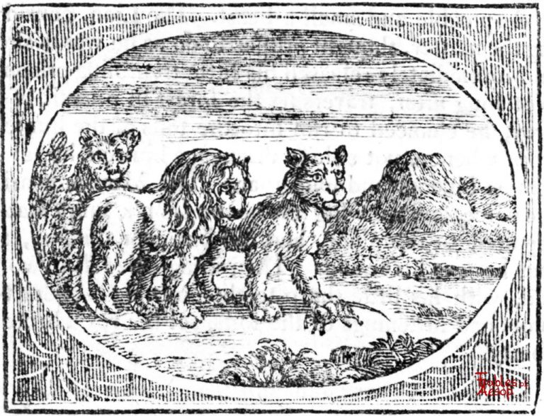 The Married Mouse - Fables of Aesop