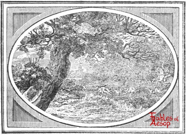 The Fox and The Cat - Fables of Aesop