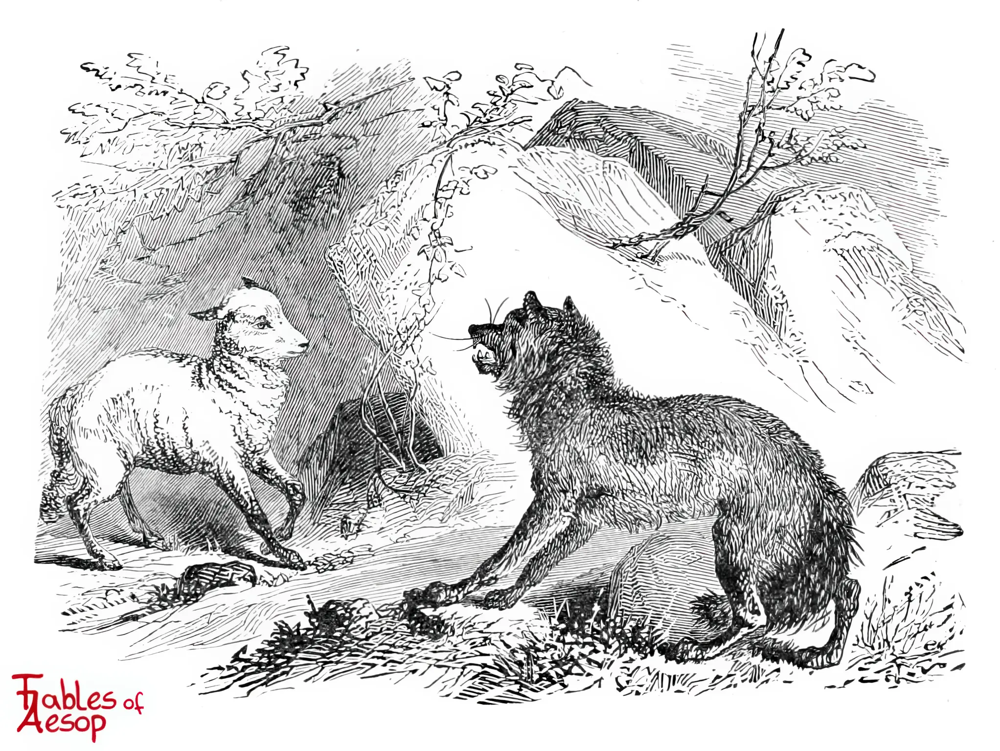 The Wolf and The Lamb - Fables of Aesop